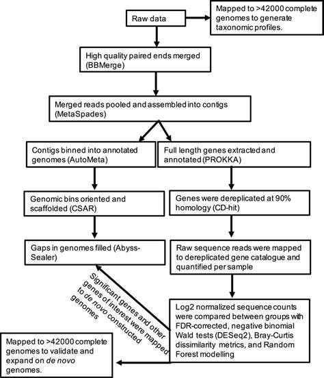 Of The Bioinformatic Pipelines Used In The Current Study Download Scientific Diagram