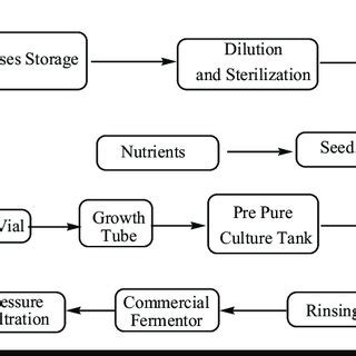 PDF Bakers Yeast Based Organocatalysis Applications In Organic Synthesis