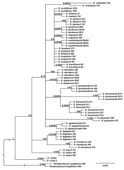 Bayesian Tree Obtained From ITS Sequences Posterior Probabilities Download Scientific Diagram