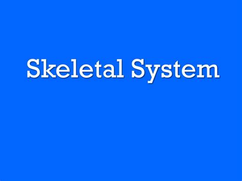 PPT Skeletal System PowerPoint Presentation Free Download ID