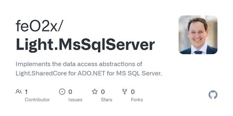 github feo2x light mssqlserver implements the data access