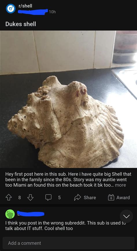 Wrong Kind Of Shell Rlostredditors