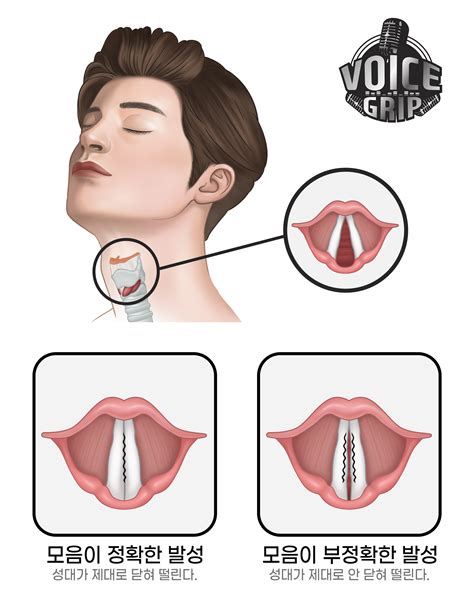 병원 수술삽화성형인체메디컬 일러스트 작업합니다 크몽