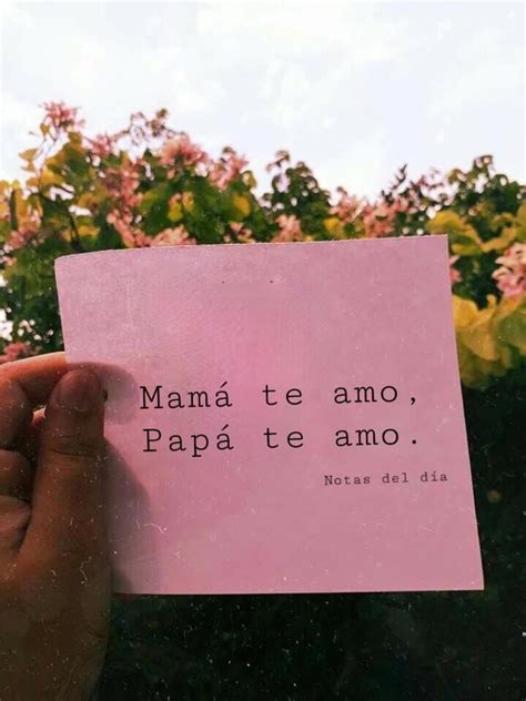 Te Amo Papa Y Mama Amo A Mis Padres Amor De Padres Frases Cortas