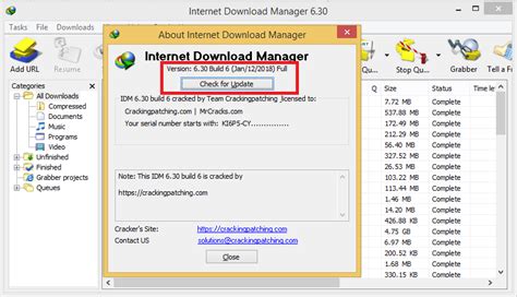 Idm Serial Key 6 38 Free Xamsim