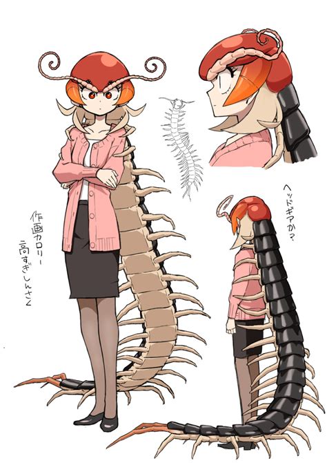 The Big Imageboard Tbib 1girl Antennae Bug Cardigan Centipede