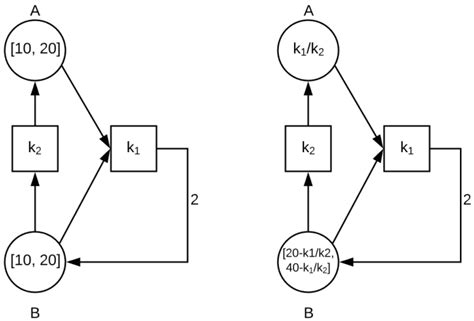 Example Of Robust Biochemical Network Considering The Species A As