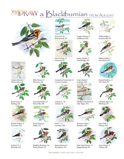 You Can Draw A Blackburnian Warbler Submissions Nature Friend Magazine