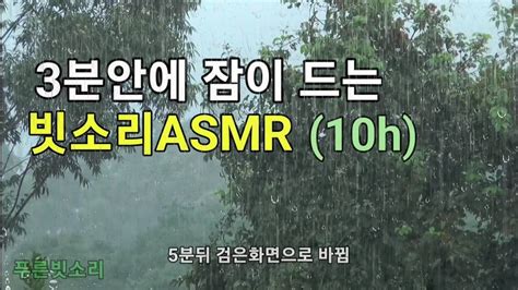 분안에 잠이 드는 빗소리ASMR 몸과 마음이 편안해지는 빗소리 YouTube