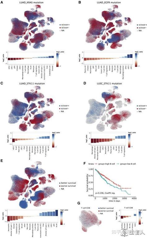 Cancer Cell 多平台单细胞数据集整合分析 知乎