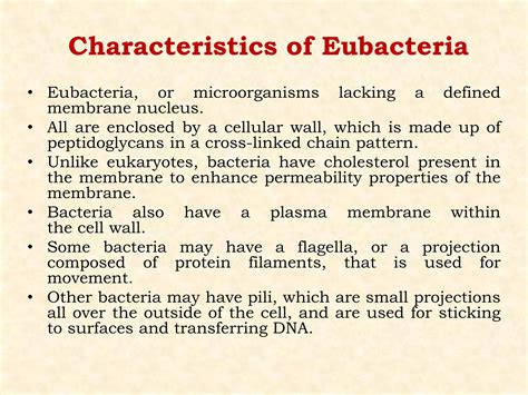 Eubacteria Pptx
