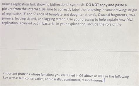 Solved Draw A Replication Fork Showing Bidirectional Synthesis Do Not 1 Answer