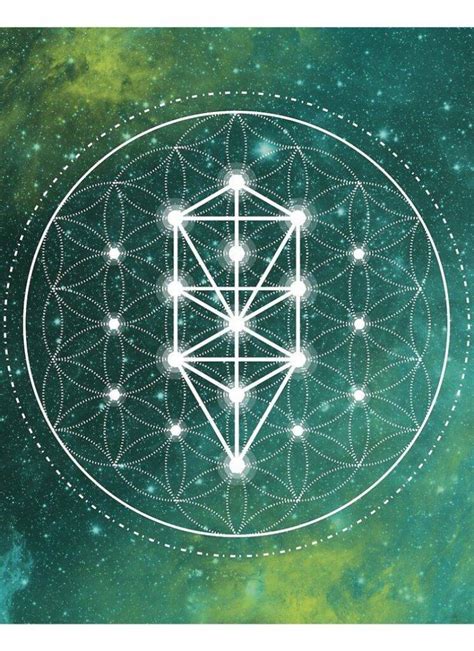 Transformation Symbols Butterfly Phoenix Trees And More Guide