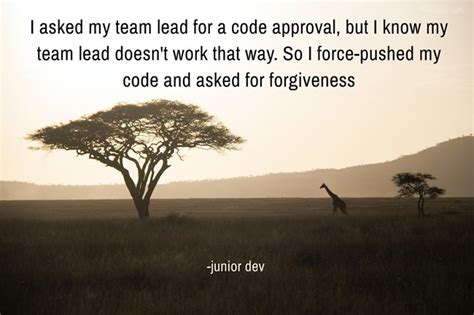 ForcePush R ProgrammerHumor