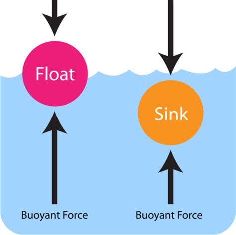 buoyancy ck 12 foundation physics concepts elementary science