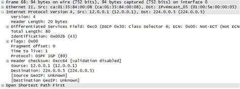 Ospf Ttl Security Check
