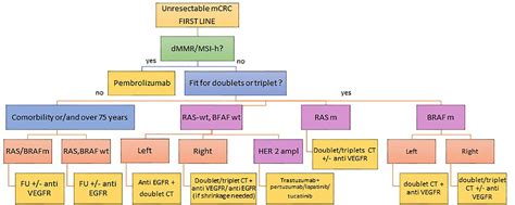 Frontiers Optimizing The First Line Treatment For Metastatic