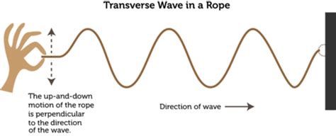 Sound Wave Basics — Every Data Scientist Must Know Before Starting Analysis On Audio Data By