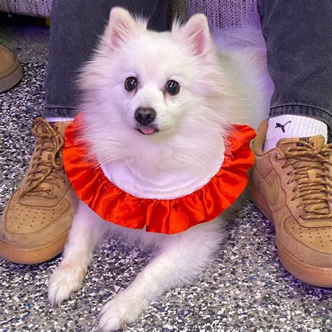 해피해피 🎄크리스마스에 귀한걸음 해주셔서 감사합니다🫶🏻 덕분에 끝나기 직전까지 만석이었어요☺️ 앉을 자리가 없어서 바닥에