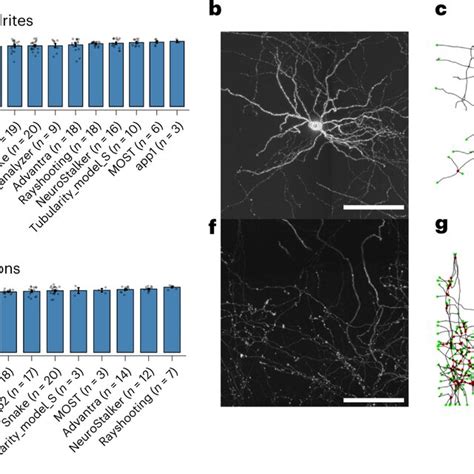 Showcase Of Best Algorithm Prediction In Fmost Data Comparison Of Download Scientific Diagram