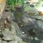 How To Reduce Turbidity In Pond Water Methods Pond Informer