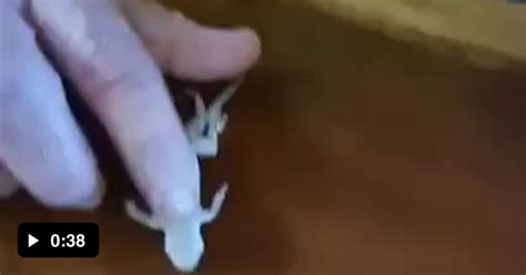 Captain Is This Possible Gag