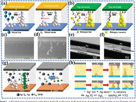 Figure 1 From Advances In Metal Halide Perovskite Memristors A Review From A Co‐design