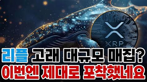 리플 사상 최대 600억개 매수 6년만에 처음입니다 Youtube