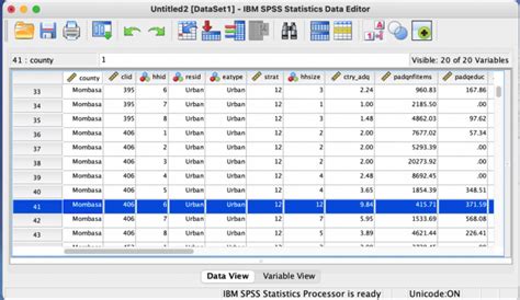 Spss Tutorial Data Modification In Spss Resourceful Scholars Hub