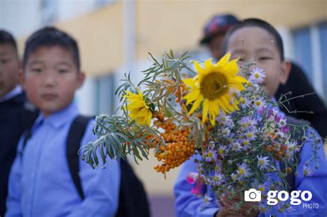 Ерөнхийлөгч өнөөдөр “Монгол Улсын Үндсэн хууль” сэдвээр цахим хичээл заана