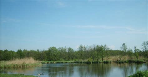 БЛОГ ВЧИТЕЛЯ ІСТОРІЇ КАЩЕНЕЦЬКОГО ЛІЦЕЮ СЕМЕНЮКА БОГДАНА АНАТОЛІЙОВИЧА Фотогалерея