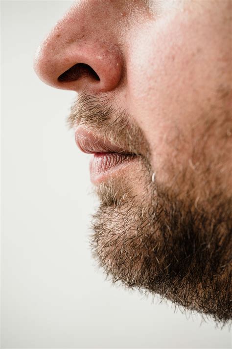 귀 남자 머리 사람 신체 얼굴 측면 털이 많은 피부 확대에 관한 무료 스톡 사진