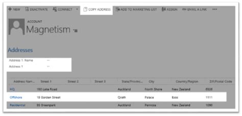 Crm 2015 Online Accessing Subgrid Data Using Javascript Magnetism