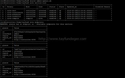 Openstack Compute Node Kurulumu Bölüm 7 Vmware Virtualization Blog