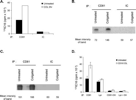 Coligation Of The Bcr And The Cd19cd21cd81 Complex On Daudi B Cells