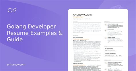 5 Golang Developer Resume Examples And Guide For 2024