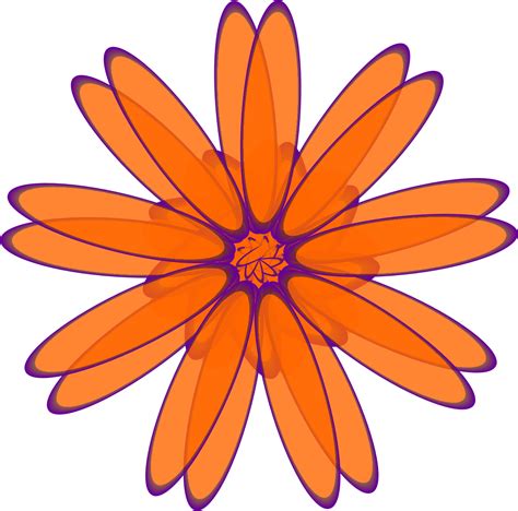 Clipart Orange Daisy