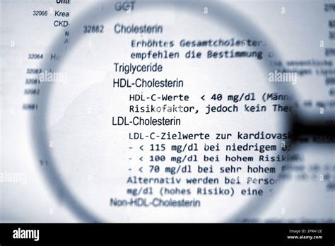 Result Of A Blood Test Haemogram View With A Loupe Cholesterol Stock