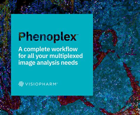 Phenoplex™ Workflow Visiopharm · Pathology Image Analysis Software Phenoplex™ Workflow Visiopharm · Pathology Image Analysis Software
