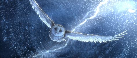 Harry Potter Hedwig Wallpapers Wallpaper Cave