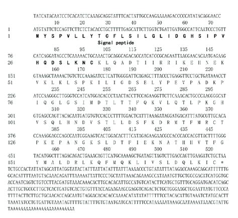 what is meant by the amino acid sequence of a at skye zepps blog