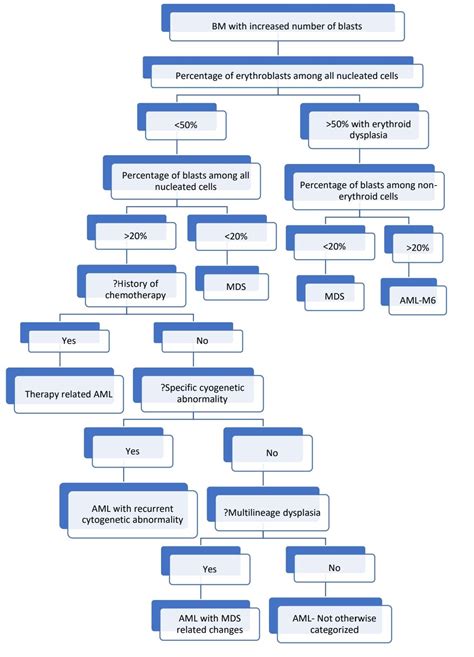 acute myeloid leukemia