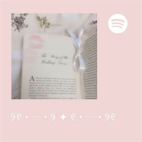 Pink Coquette Spotify Widget Icon