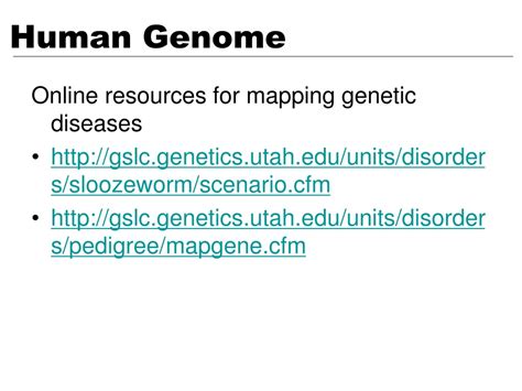 Ppt Alu Human Polymorphism Powerpoint Presentation Free Download