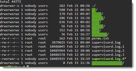 Support Binhex Jellyfin Page 2 Docker Containers Unraid