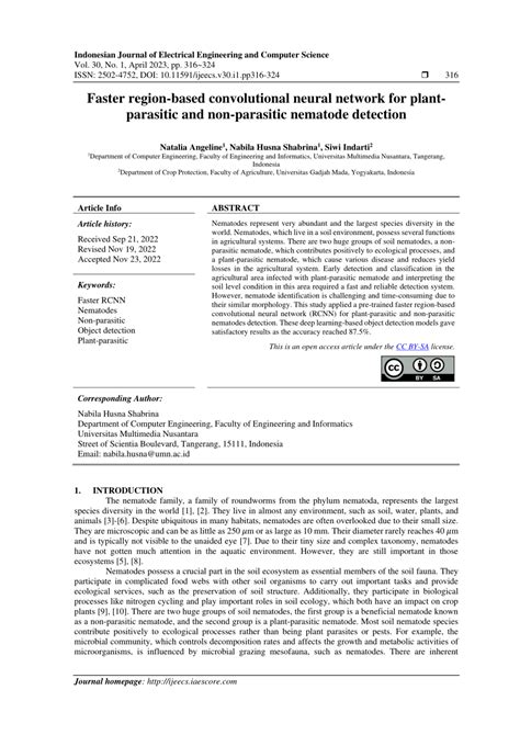 Pdf Faster Region Based Convolutional Neural Network For Plant Parasitic And Non Parasitic