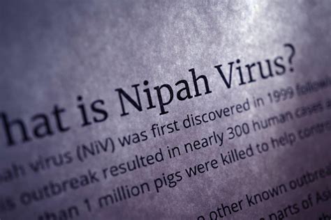 Nipah Virus Outbreaks 2023 What You Need To Know For Safety