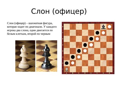 Наименование шахматных фигур 63 фото