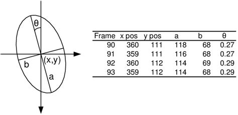 Sample Blob Measurements And Blob Data Download High Quality