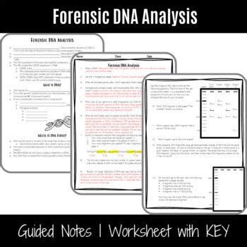 Forensic DNA Fingerprinting And Profiling Lesson By MK Science Lab